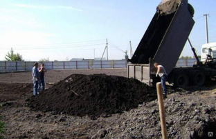 Каталог - Природные ресурсы в Перми